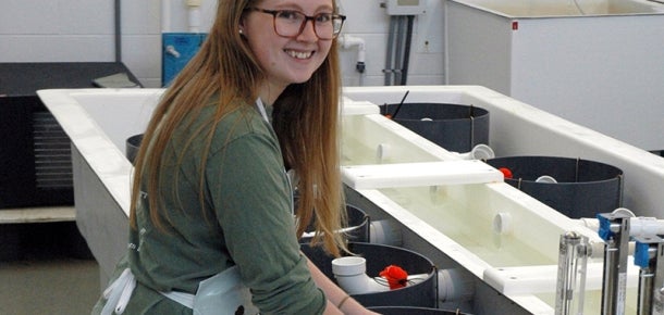 All Things Oyster: Whether studying their genomes or helping farmers ...